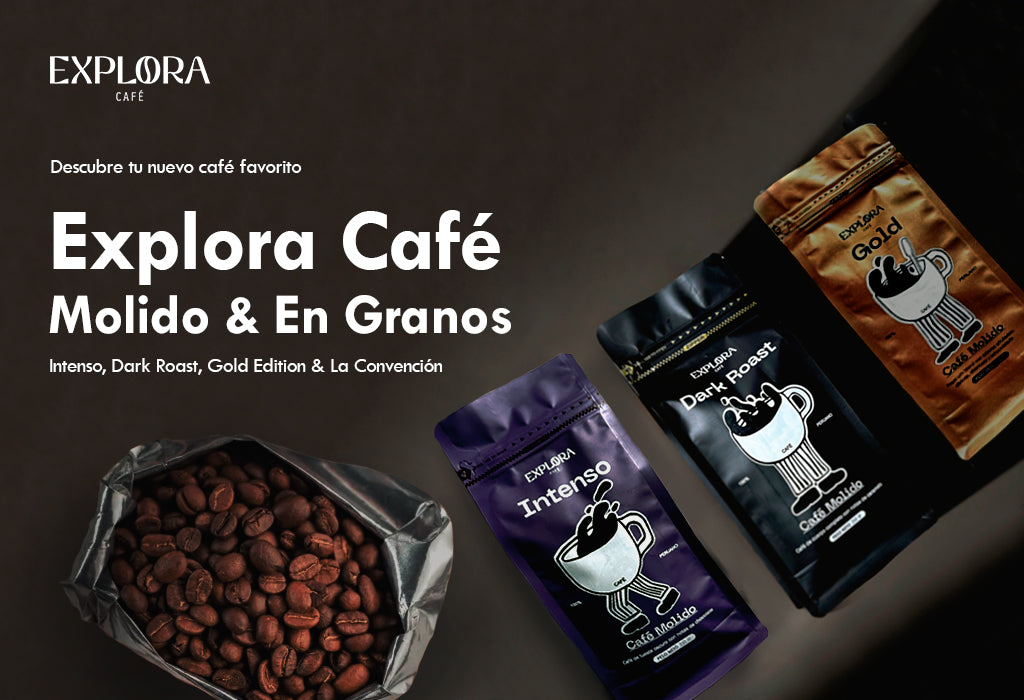Explora Cafe – EXPLORA CAFE