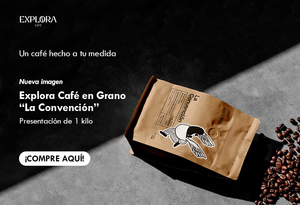 Explora Cafe – EXPLORA CAFE